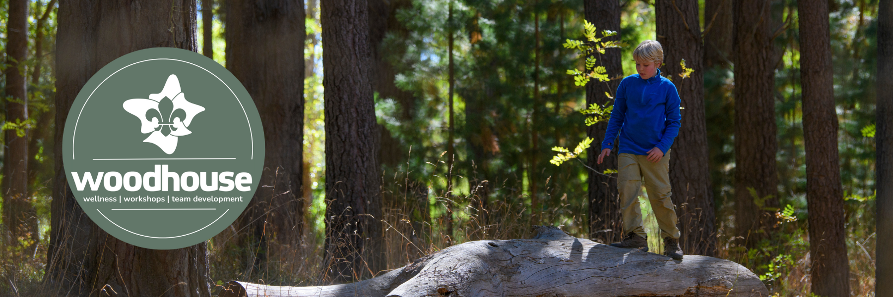 Woodhouse Wetland Wonders | Nature Walk & Scavenger Hunt for Families ...
