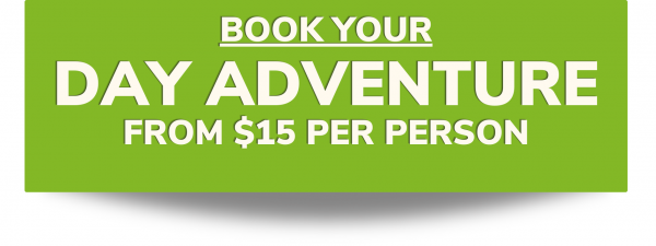 Day Pass at Woodhouse Adventure Park » Woodhouse Adventure Park