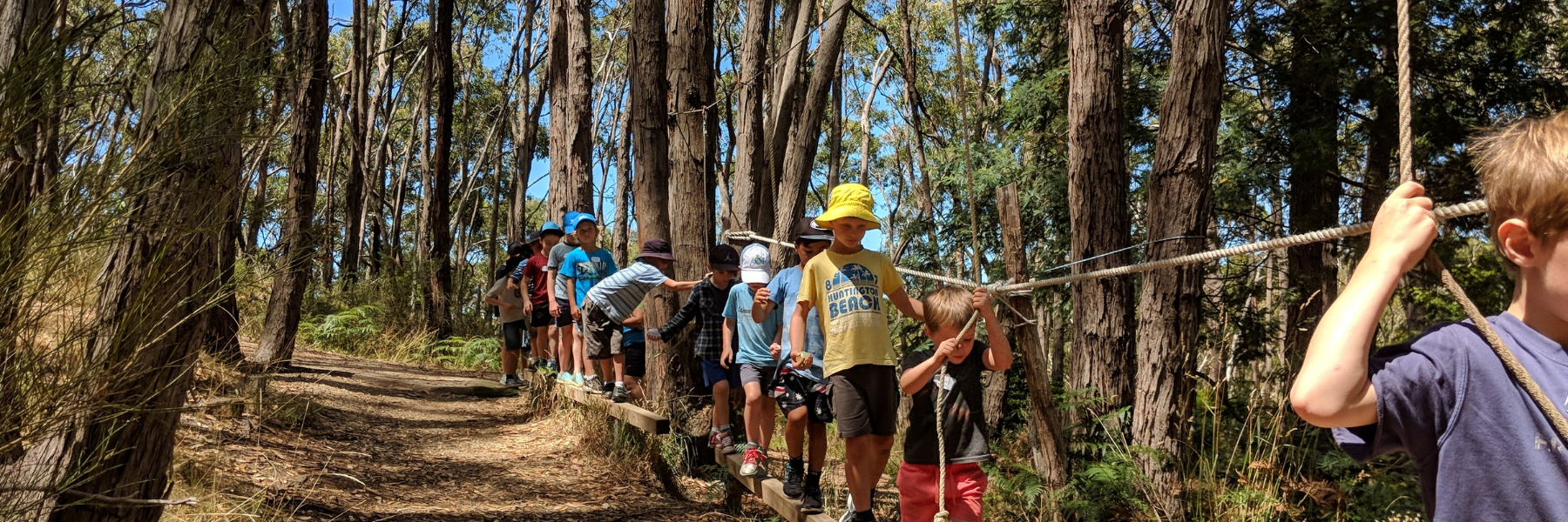 Activity Listings » Woodhouse Adventure Park