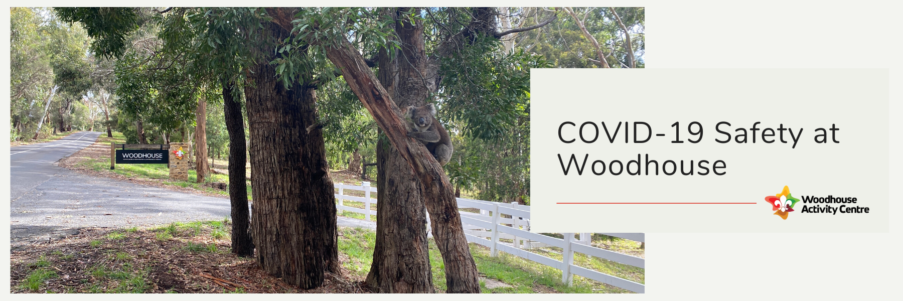 COVID-19 Safety & Action Plans » Woodhouse Adventure Park